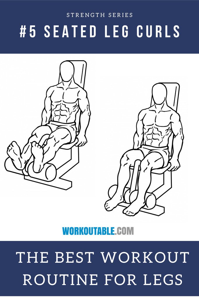 Ultimate Leg Workout Routine : The Best Exercises for your quads ...