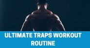 Ultimate Traps Workout Routine: The Best Exercises for Traps - Workoutable