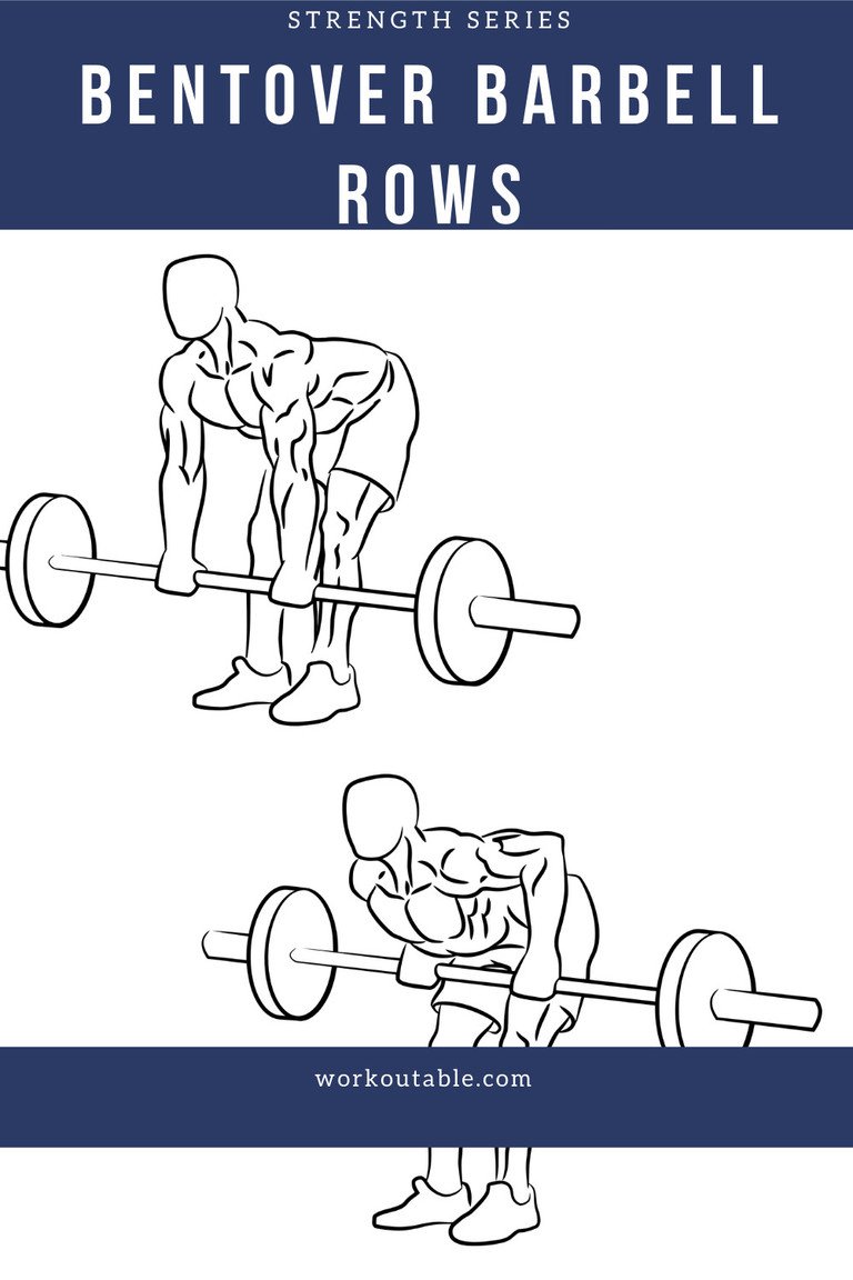 Ultimate Back Workouts – The Best Back Workout - Workoutable