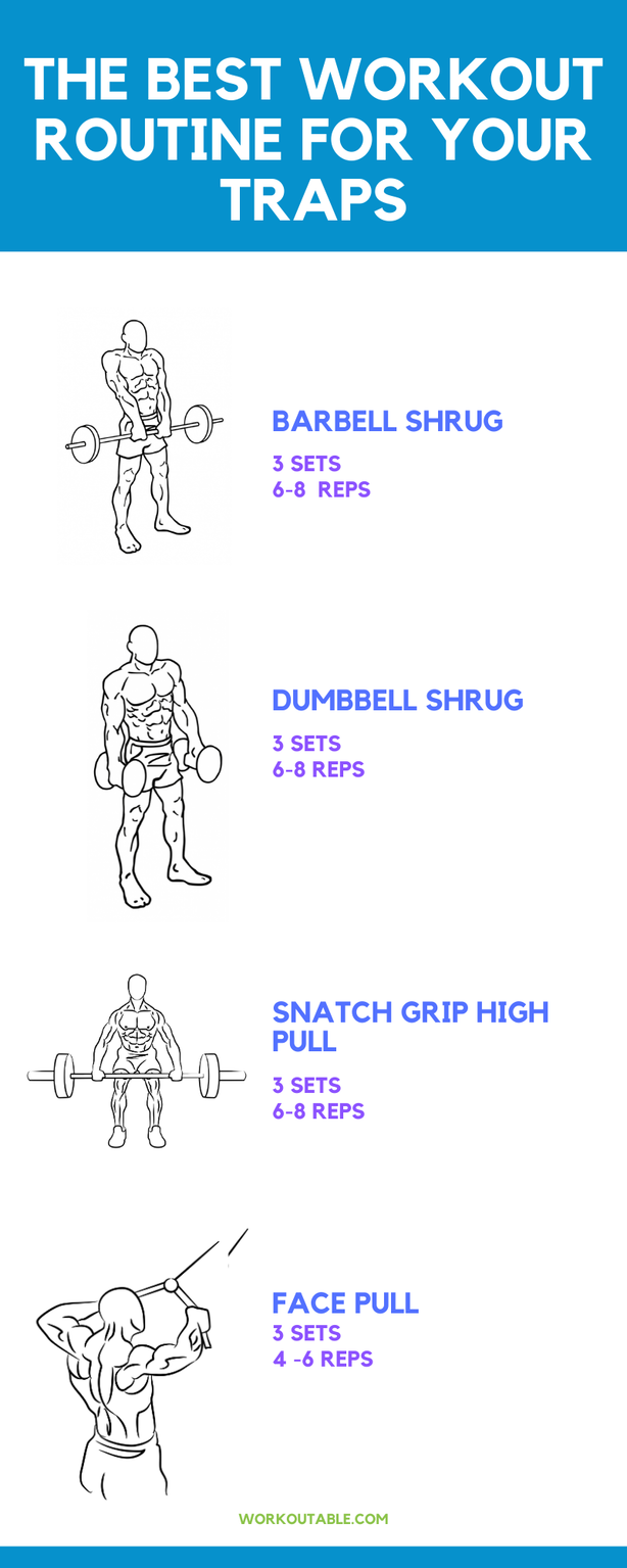 Ultimate Traps Workout Routine: The Best Exercises for Traps - Workoutable