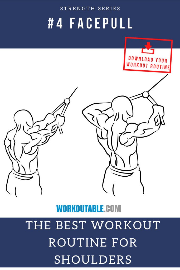Ultimate Workout Routine for Shoulders – The Best Exercise for Deltoid ...