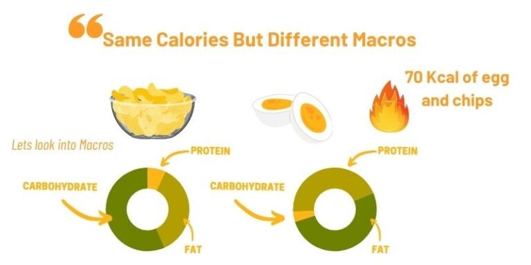 Macro Calculator for Accurate Daily Macronutrients and Calories ...